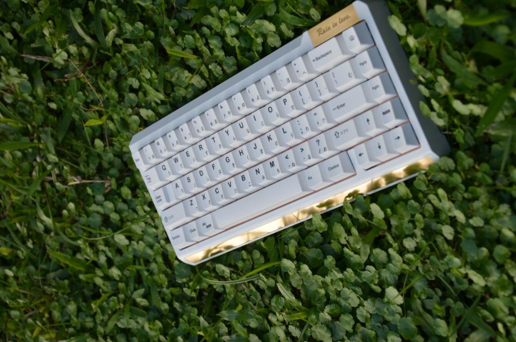 Ark 68 custom mechanical keyboard, Computers & Tech, Parts ...