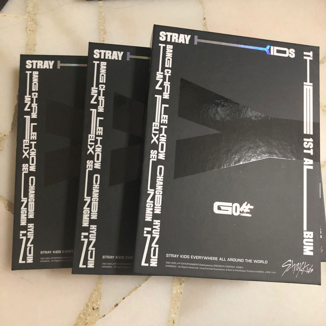 Stray Kids Limited Go Live Album Some Inclusions - gruponym.mx