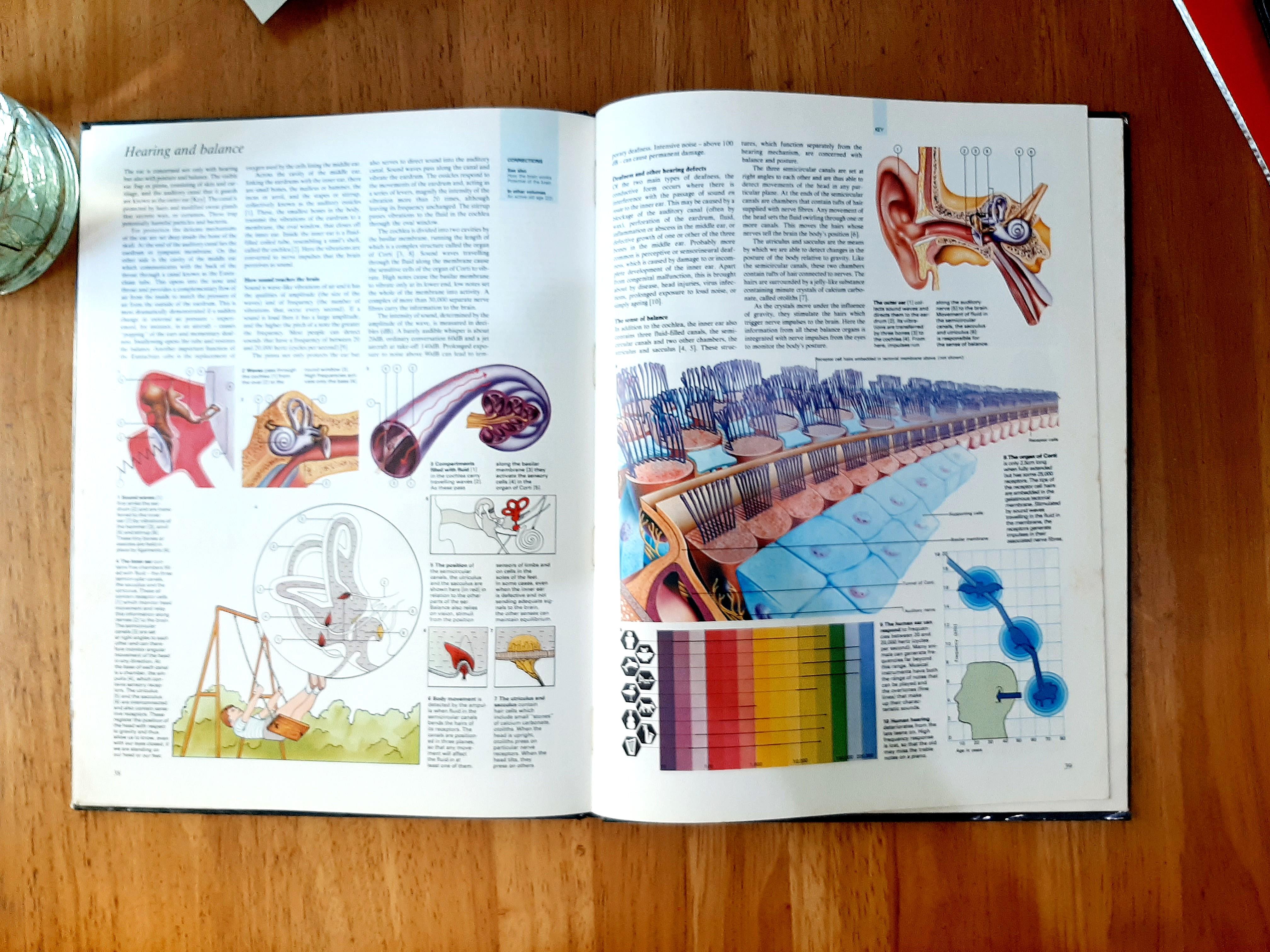 The New Joy of Knowledge Encyclopedia: The Human Body, Hobbies & Toys ...