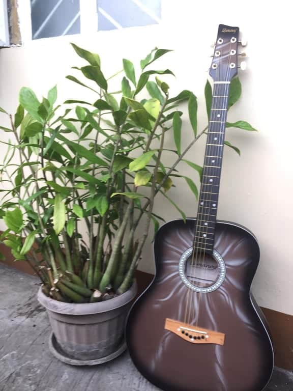 Brand new Lumanog Acoustic Guitar, Hobbies & Toys, Music & Media, CDs ...