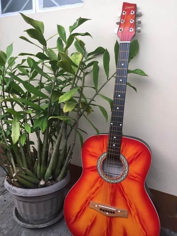Brand new Lumanog Acoustic Guitar, Hobbies & Toys, Music & Media, CDs ...