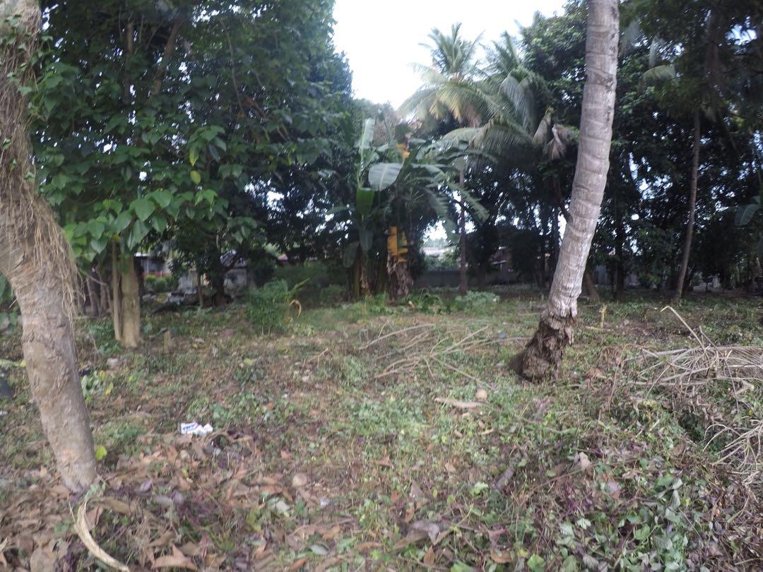 1200 square meters residential lot, Property, For Sale, Lot on Carousell