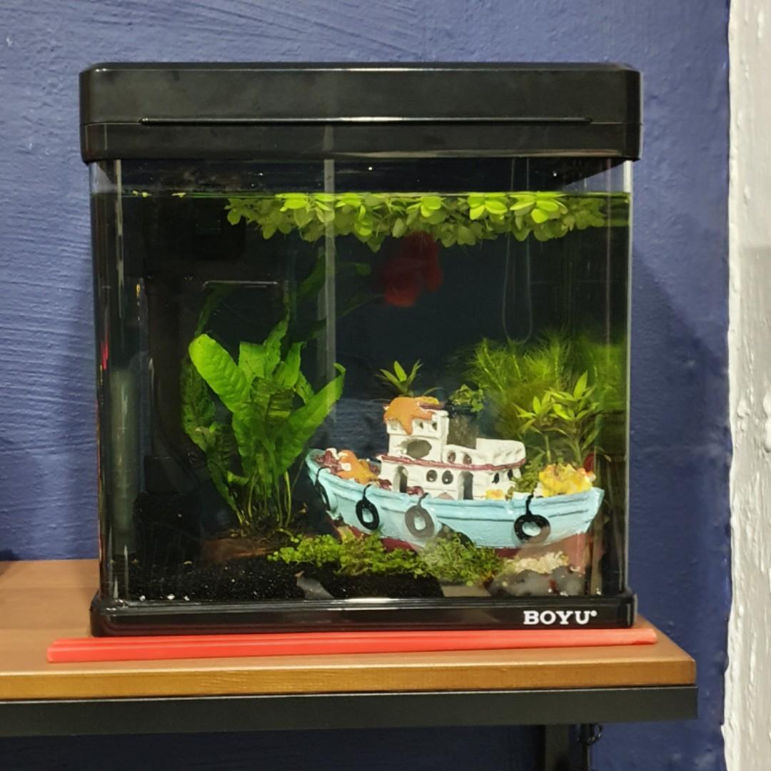 Boyu MS Fish Tank, Pet Supplies, Homes & Other Pet Accessories on Carousell