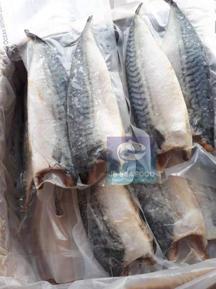 Frozen norway mackerel Saba fillet - Seafood Wholesaler, Food & Drinks ...