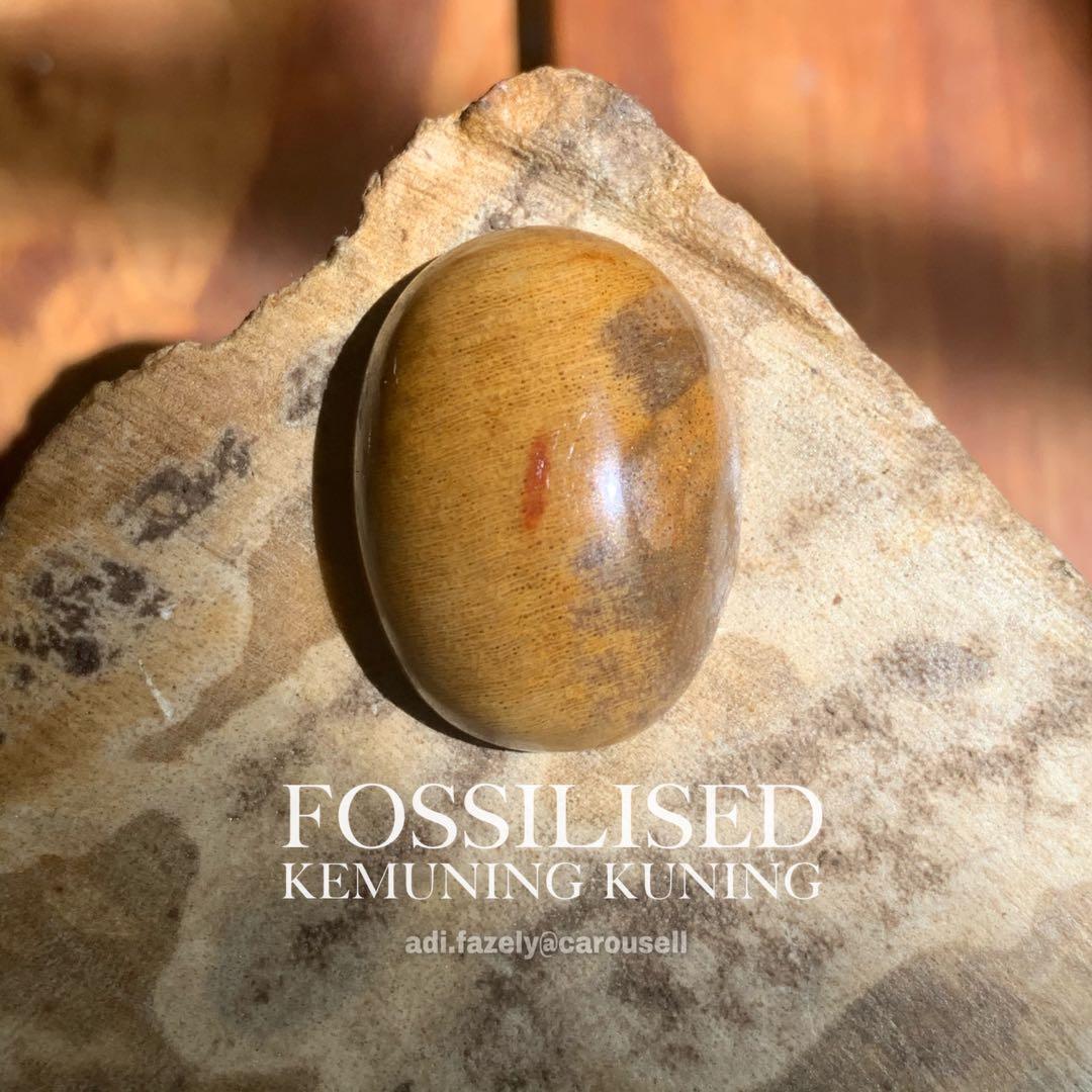 July Exclusive 2020: Fosil Kayu / Wood Kemuning Kuning, Everything Else ...