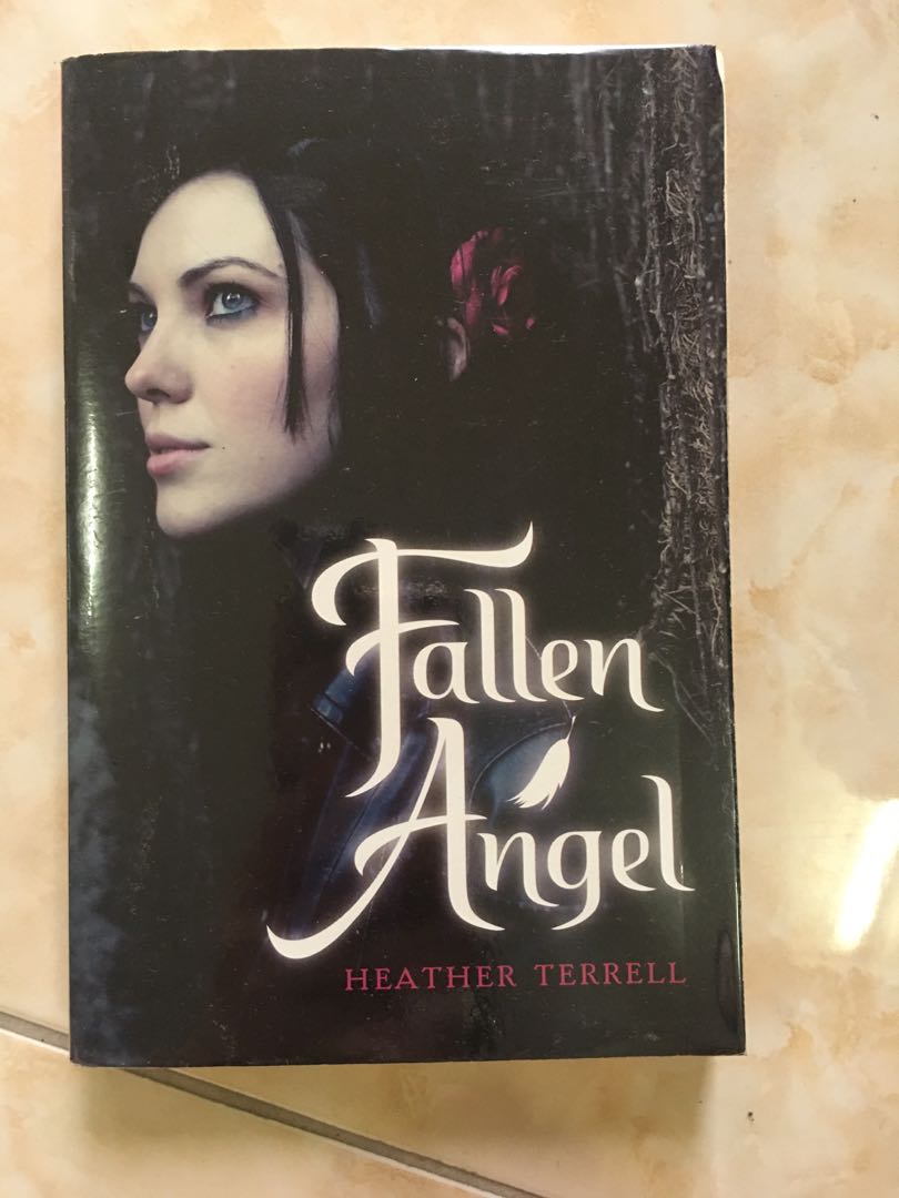 Fallen angel by Heather Terrell, Hobbies & Toys, Books & Magazines ...