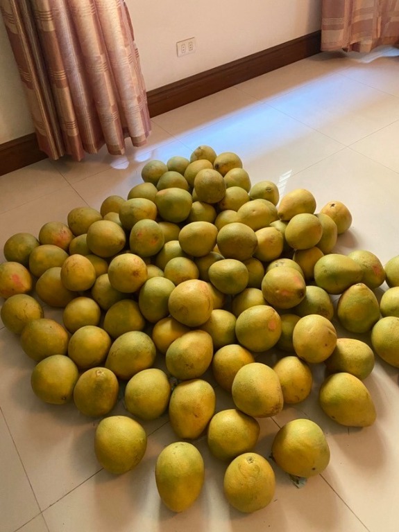 Golden Pomelo, Food & Drinks, Fresh Produce on Carousell