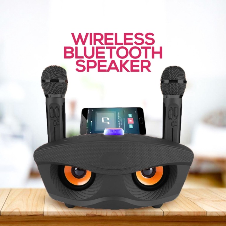 SDRD SD-306 Dual Wireless Microphone Karaoke System, Audio, Microphones ...