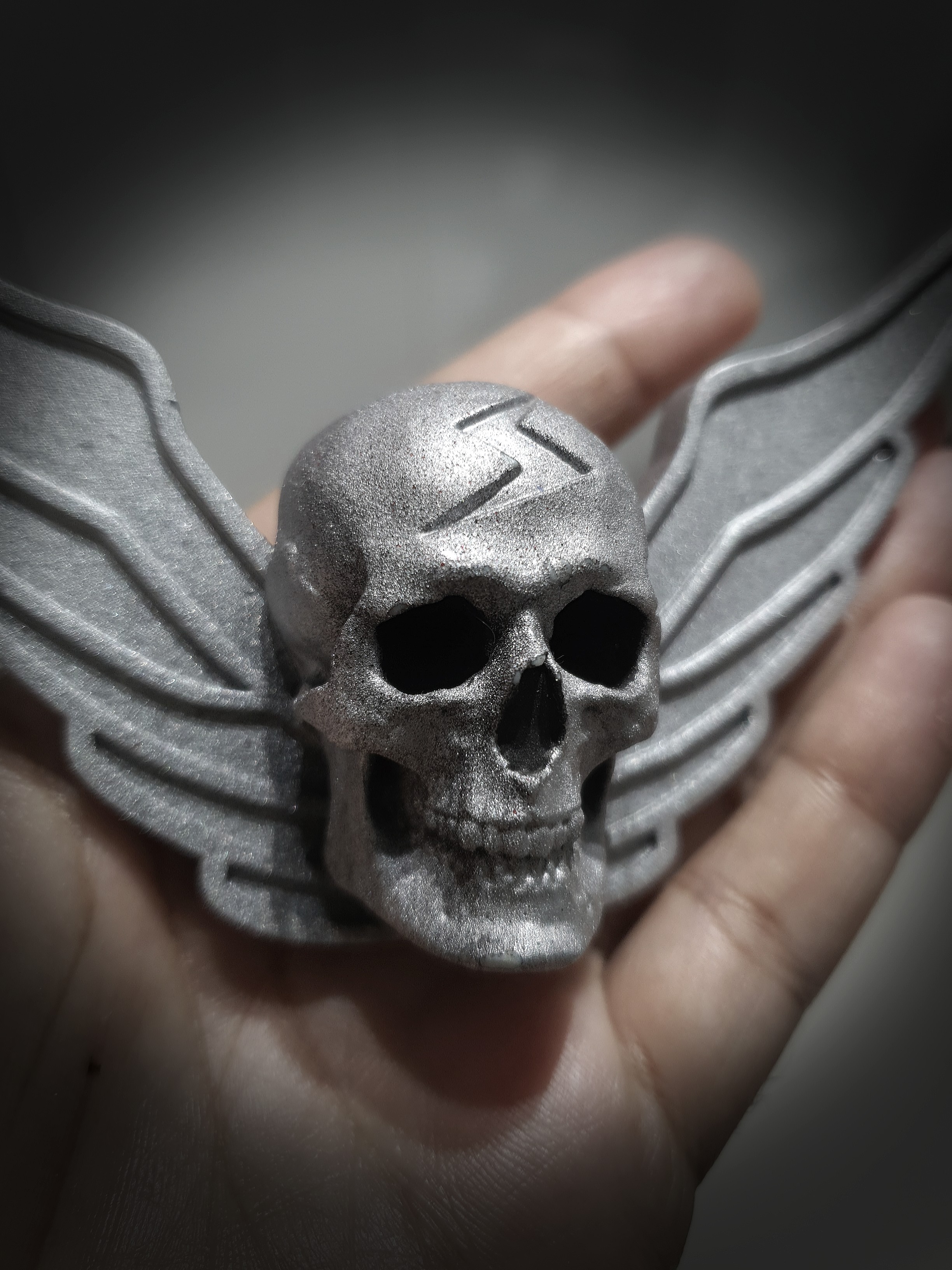 Street Fighter Shadaloo resin emblem custom painted, Hobbies & Toys ...