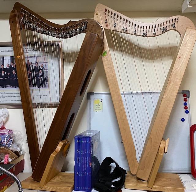 Harpsicle Harps Students Instalment Payment Plan, Hobbies & Toys, Music ...