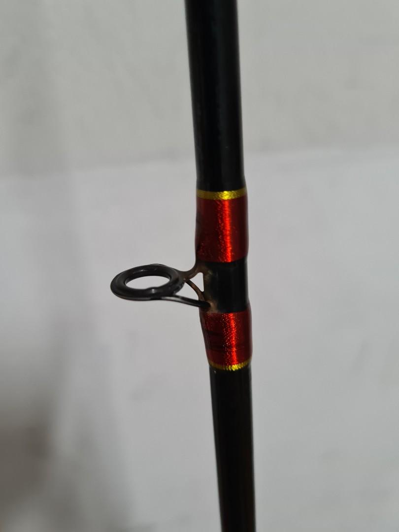 Penn INXS 2 Ground Cast 13ft Multiplier, Sports Equipment, Fishing on ...