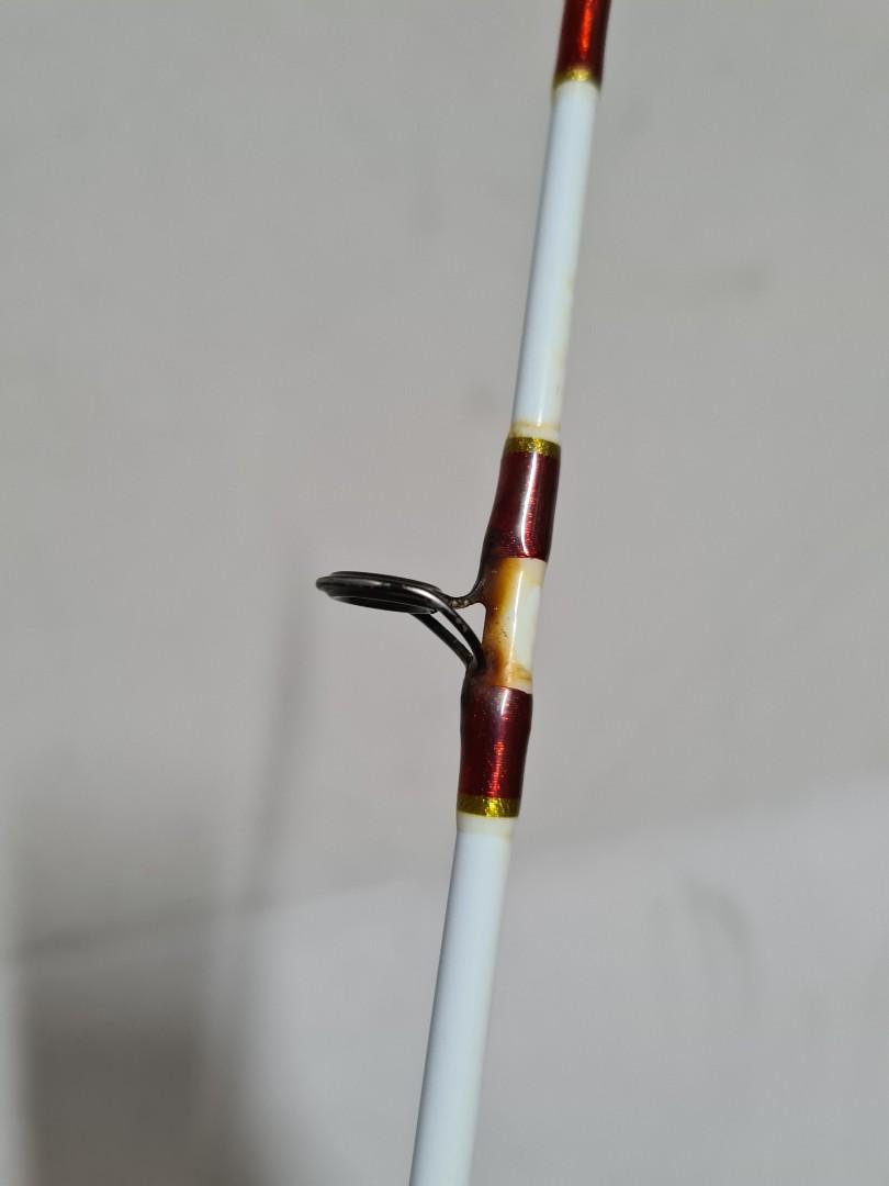 Penn INXS 2 Ground Cast 13ft Multiplier, Sports Equipment, Fishing on ...