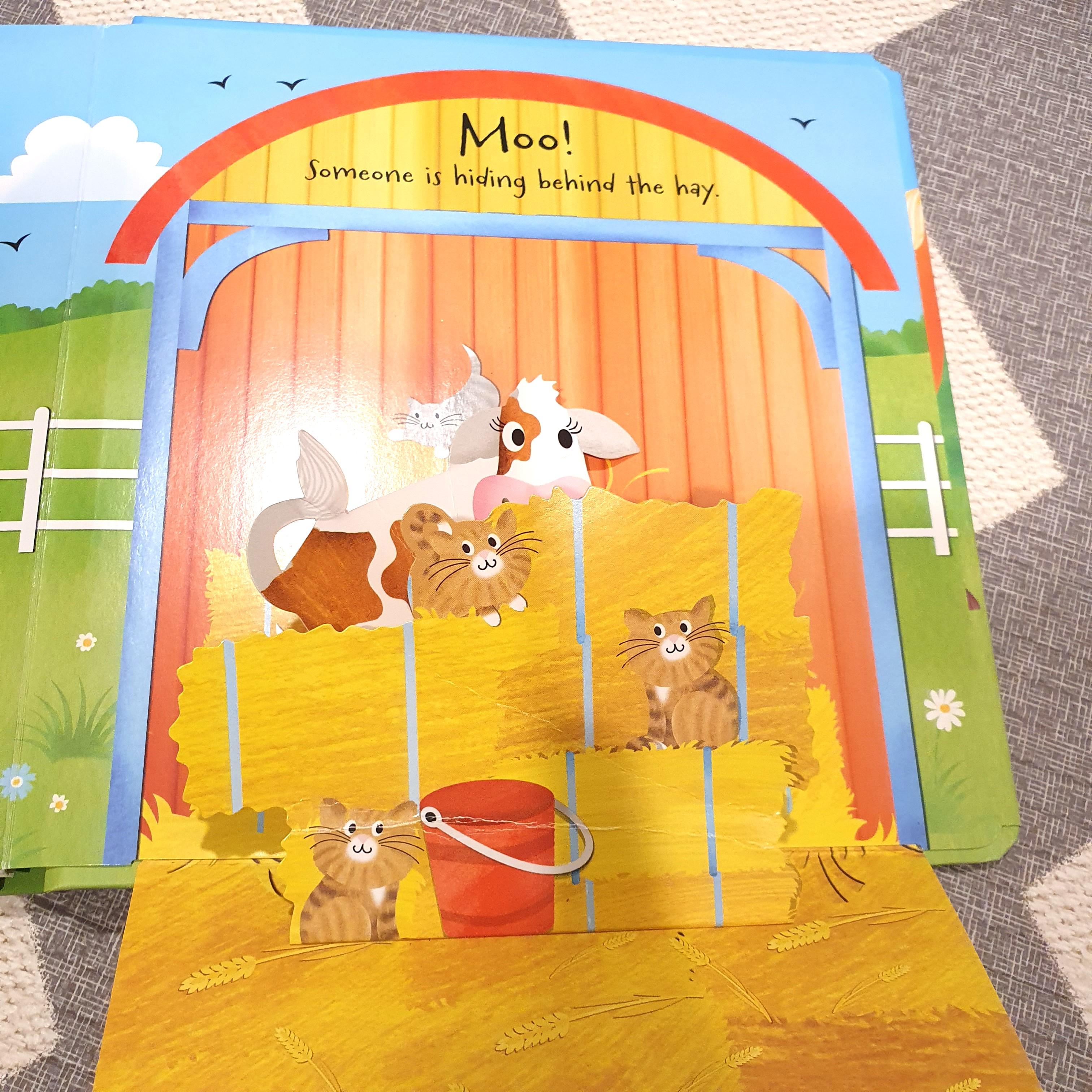 Fun on the Farm: A Pop-up Book, Hobbies & Toys, Books & Magazines ...