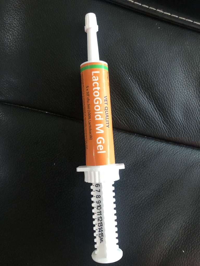 LactoGold M Probiotic Gel 15ml Syringe, Pet Supplies, Health & Grooming ...