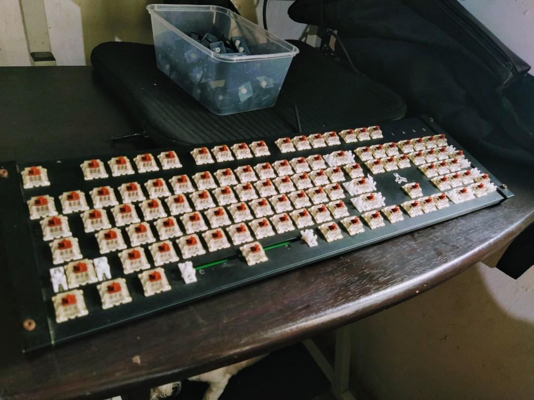 Rakk Kimat XT.2 Mechanical Keyboard Brown, Computers & Tech, Parts ...