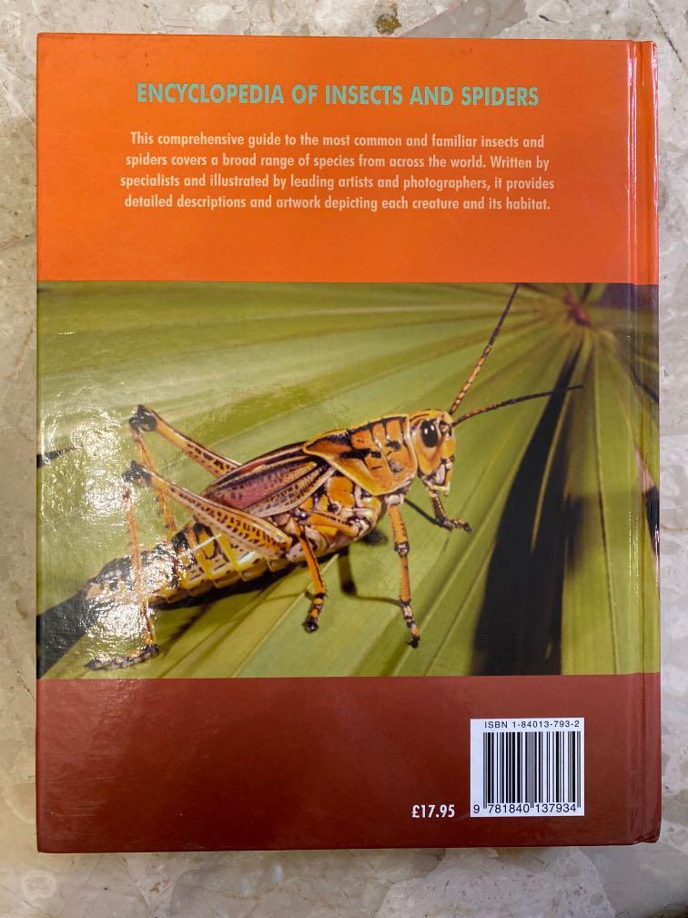 Encyclopedia of Insects and Spiders, Hobbies & Toys, Books & Magazines ...