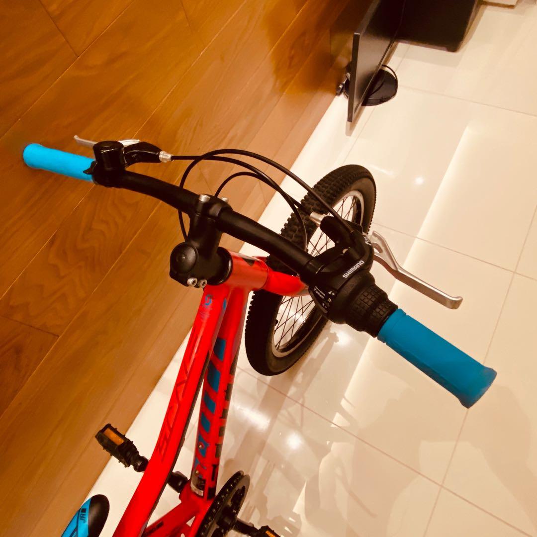 Scott Scale 20” Rigid Fork Kids Bike, Sports Equipment, Bicycles ...