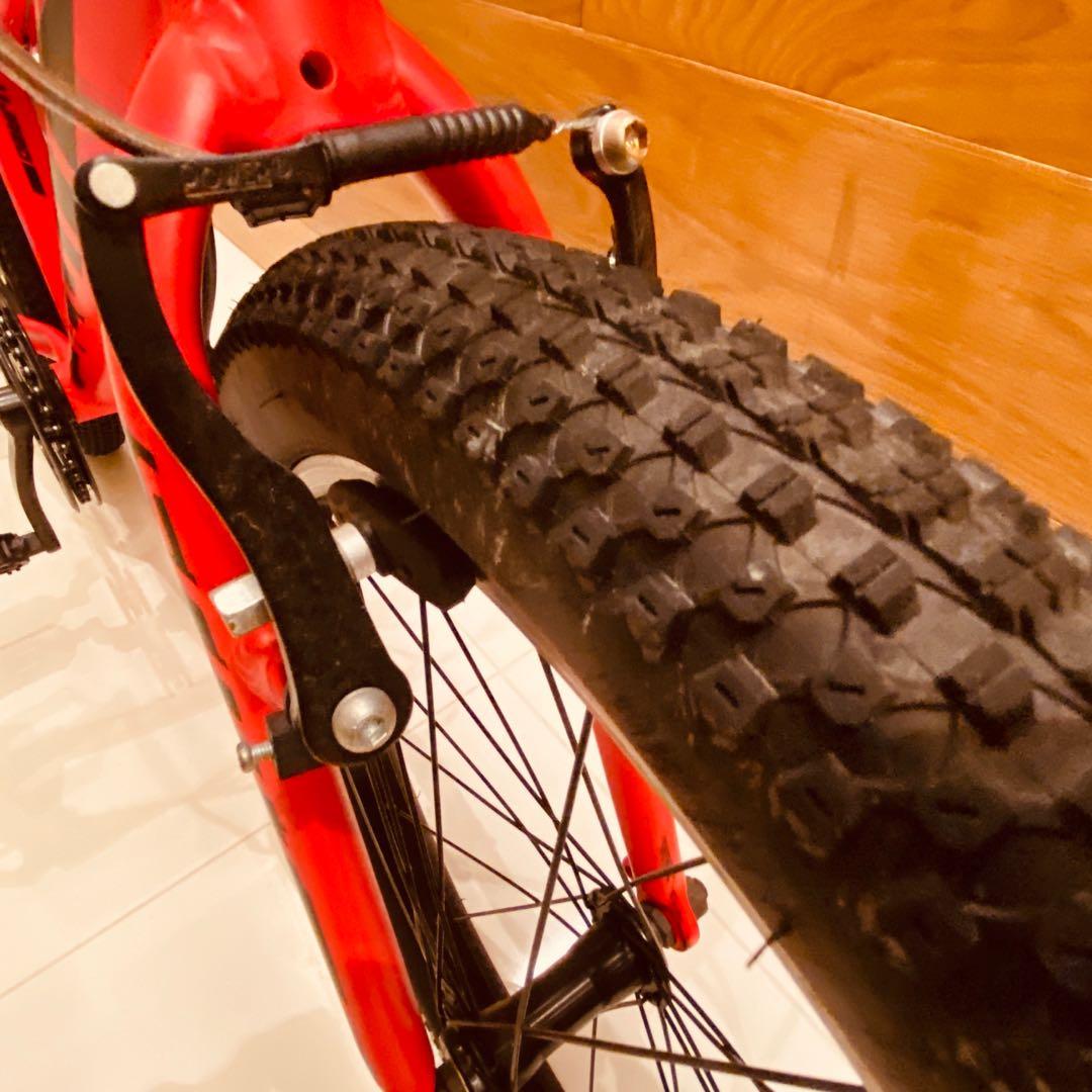 Scott Scale 20” Rigid Fork Kids Bike, Sports Equipment, Bicycles ...