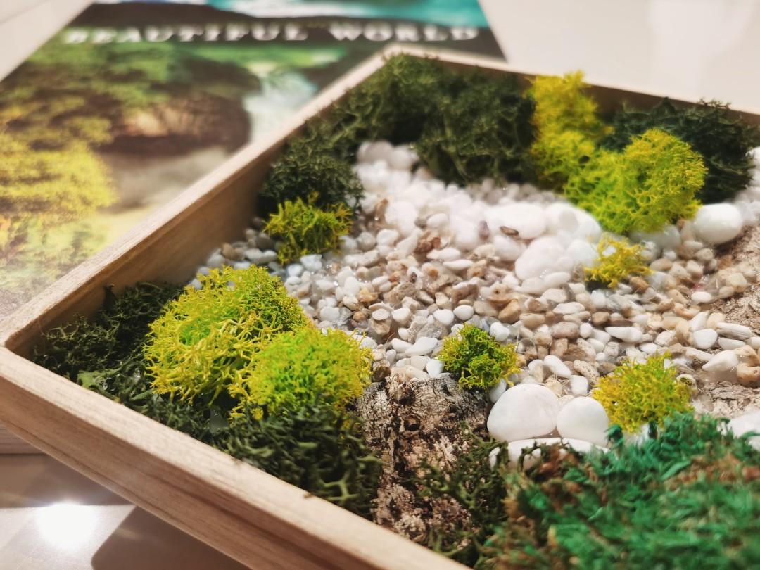 3D Moss Art Photoframe - Preserved Moss, Natural Stone, Natural Wood ...