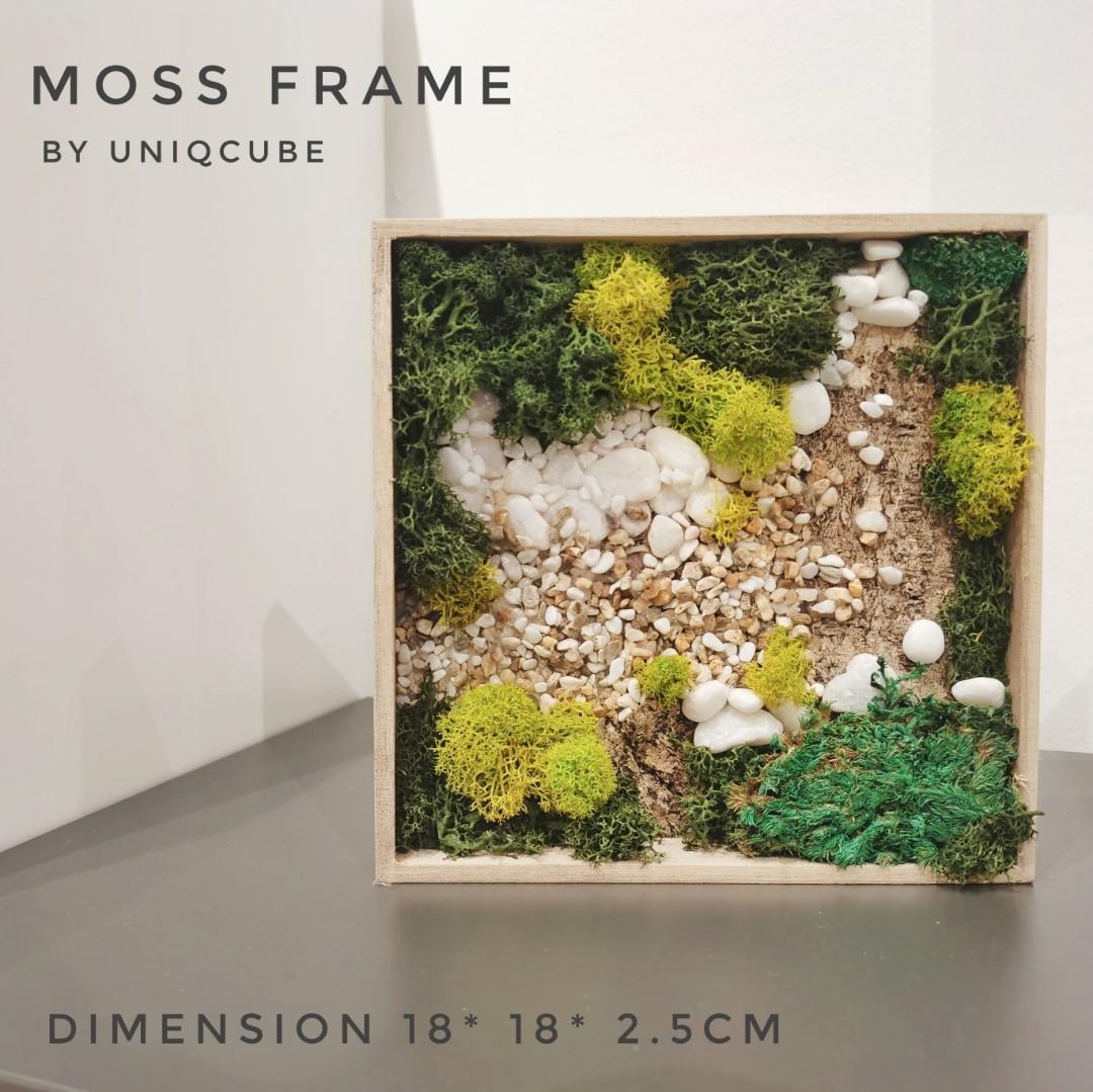3D Moss Art Photoframe - Preserved Moss, Natural Stone, Natural Wood ...
