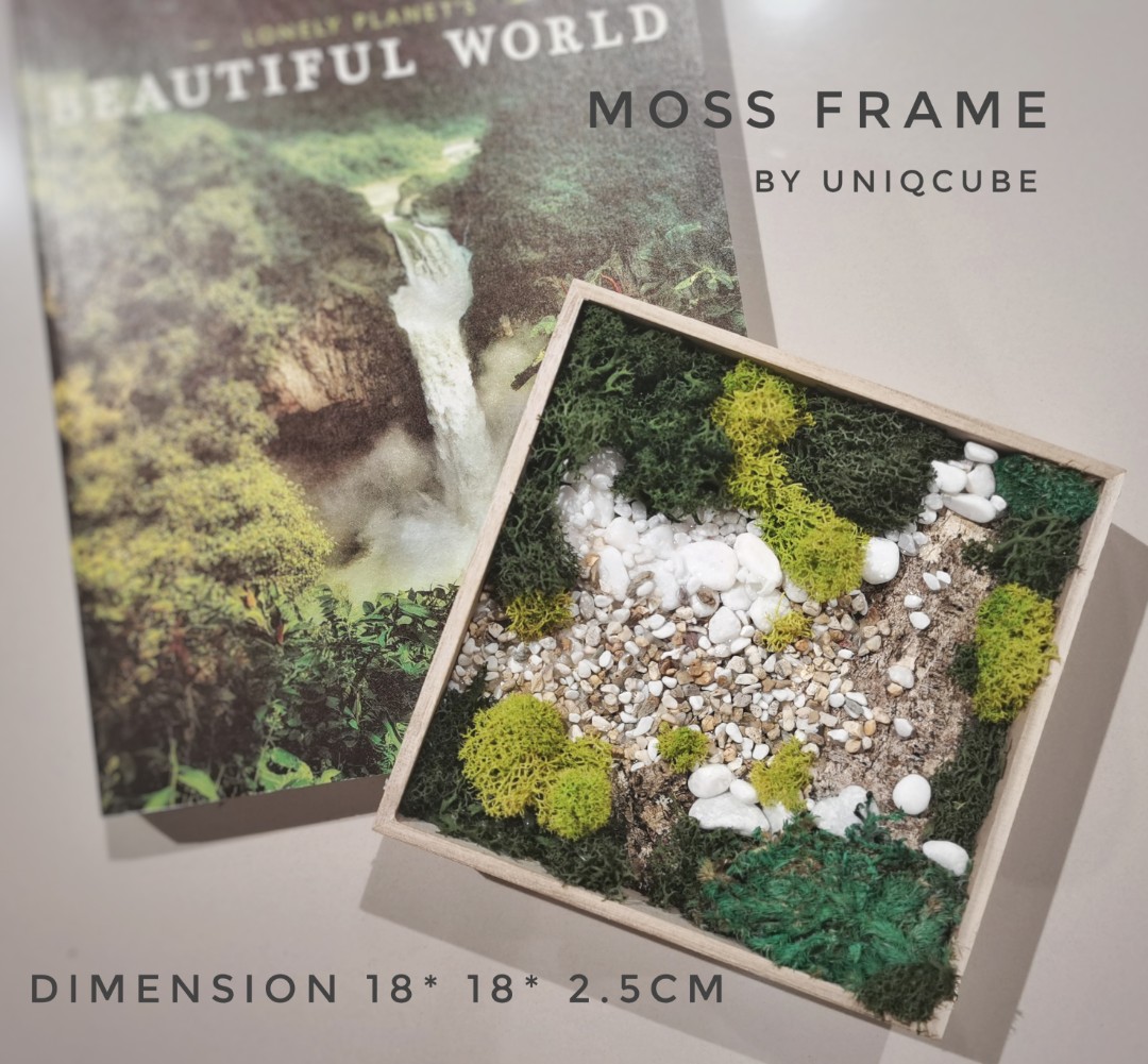 3D Moss Art Photoframe - Preserved Moss, Natural Stone, Natural Wood ...
