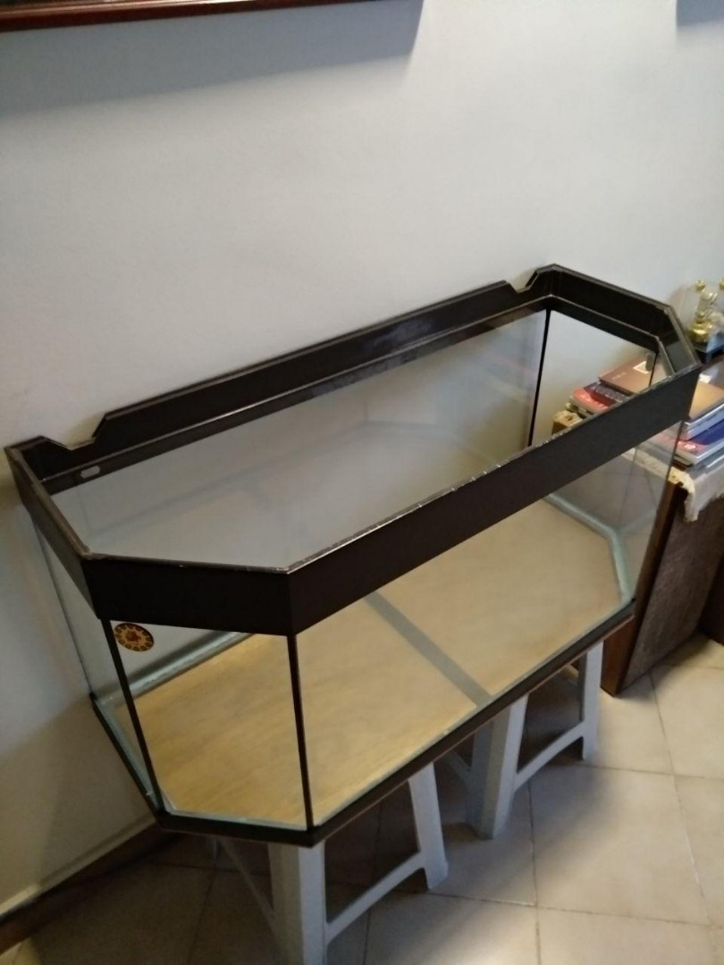 Aquarium fish tank 100cm (L) x 40cm (W) x 50cm (H), Pet Supplies, Homes ...