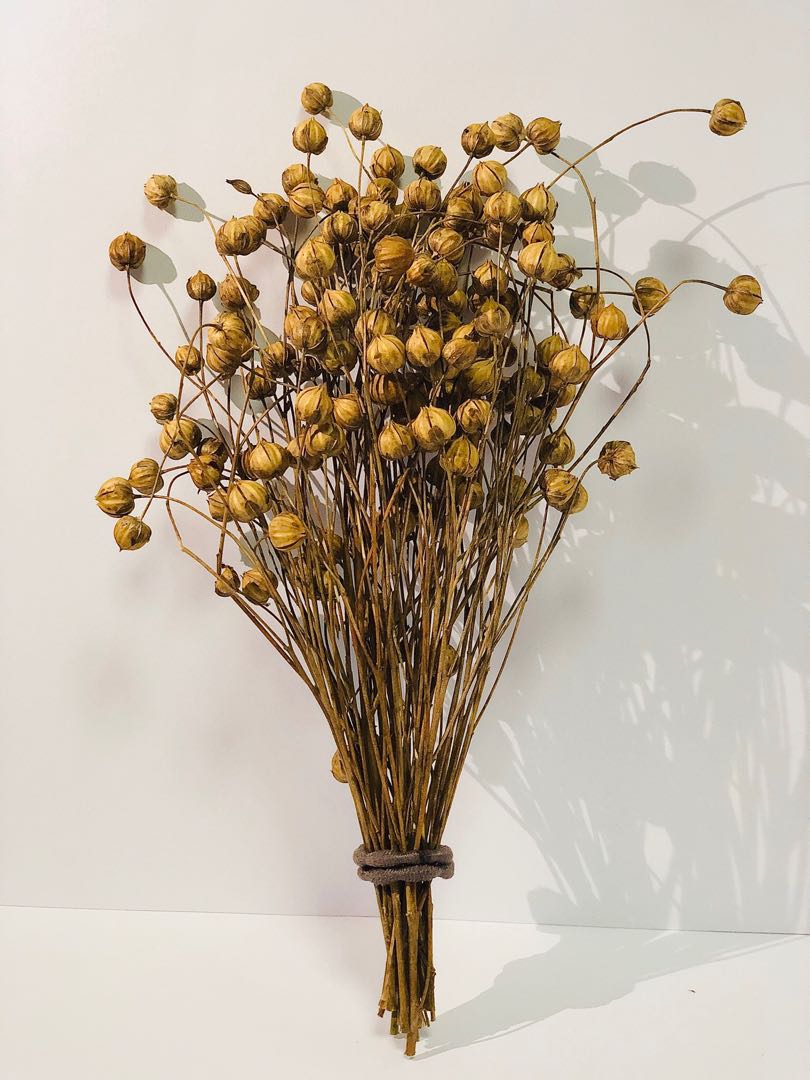 Flax Spray (OOS), Pet Supplies, Health & Grooming on Carousell