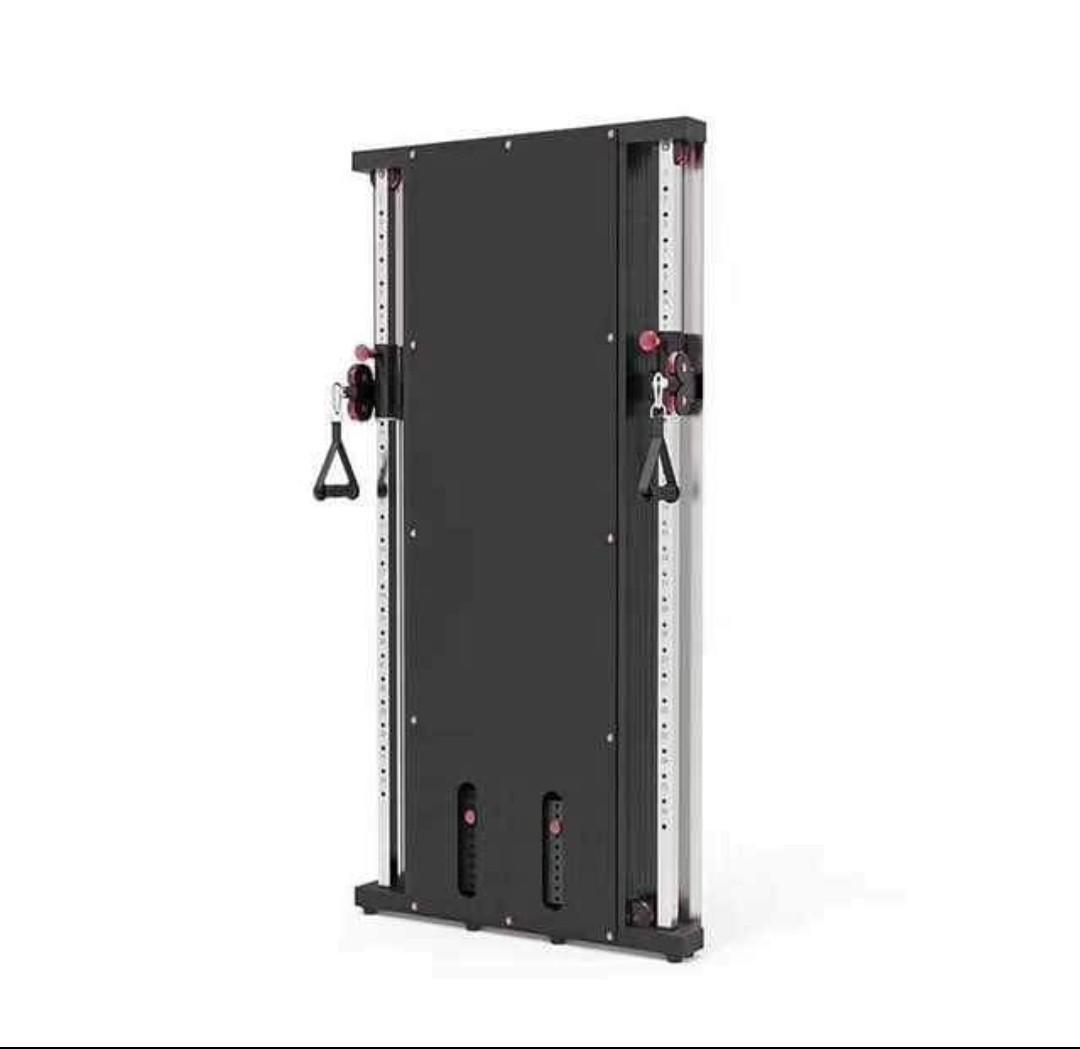 Home Gym - Wall Mounted Selectorized Functional Trainer, Sports ...