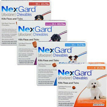 Nexgard all sizes, Pet Supplies, Pet Food on Carousell