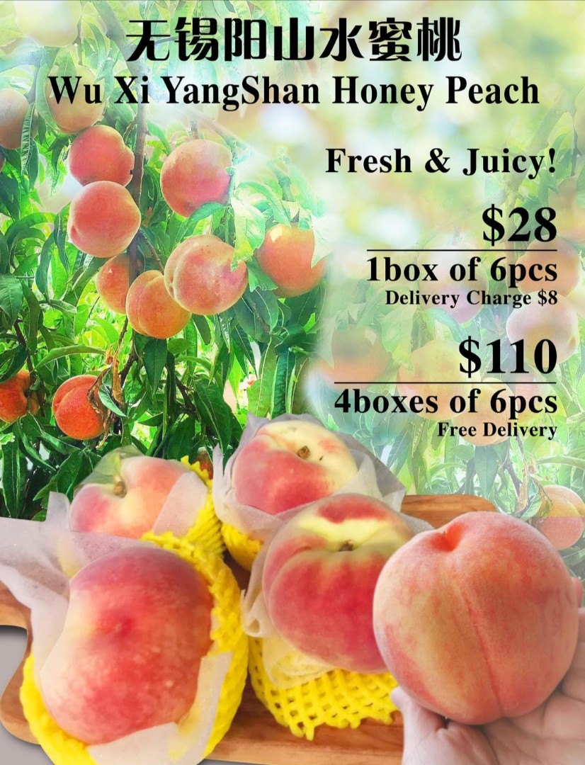 WuXi YangShang Honey Peaches, Food & Drinks, Packaged & Instant Food on ...