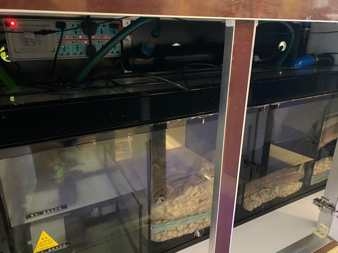 Yuemei Aquatic Pet Tank (like new!), Pet Supplies, Homes & Other Pet ...