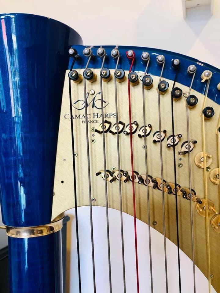 Camac electro-acoustic pedal harp, Hobbies & Toys, Music & Media ...