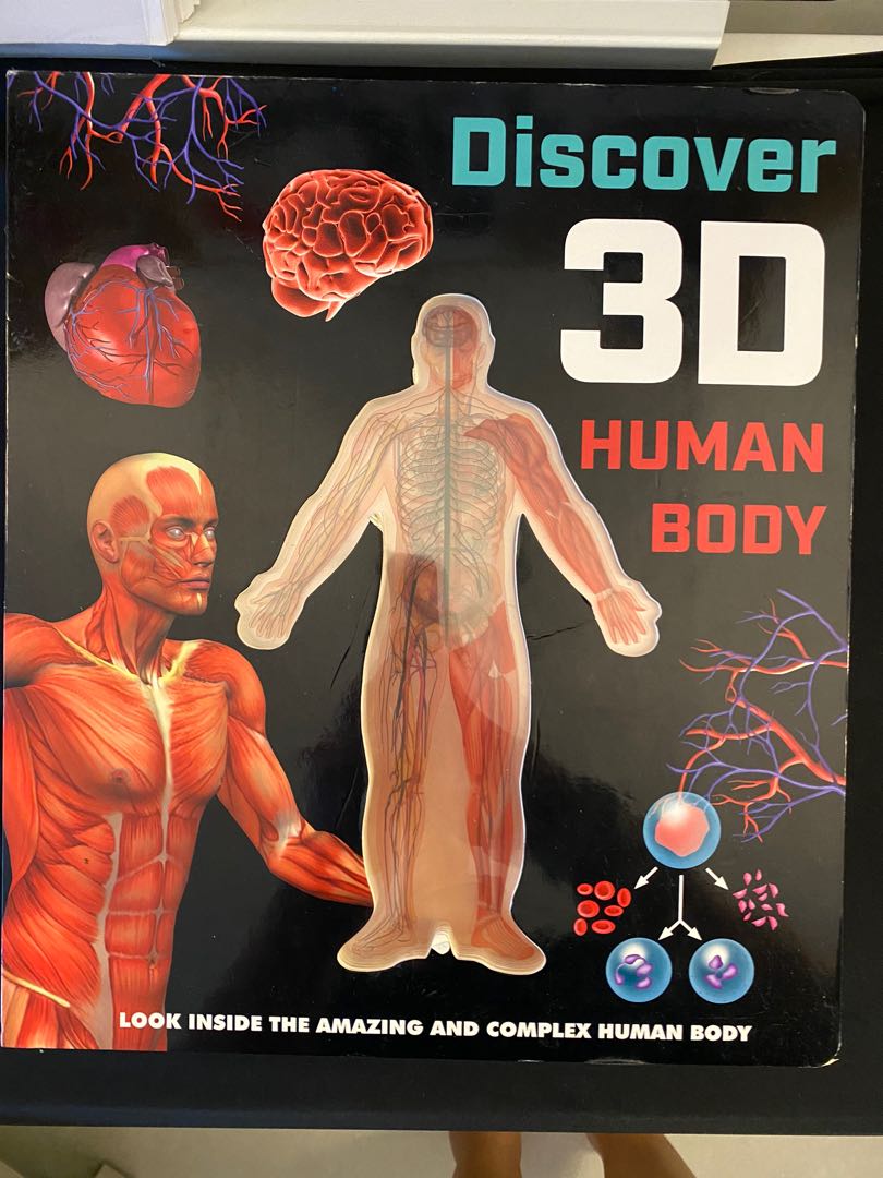 Discovery 3D Human Body, Hobbies & Toys, Books & Magazines, Children's ...