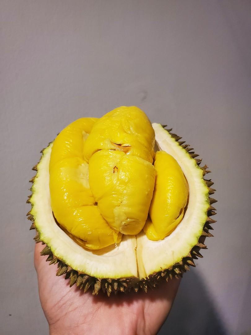Durian Premium Grade A AA AAA MSW XO Tekka D2 D13 D101 Pahang Promotion ...