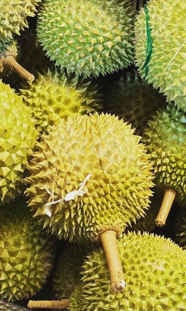 Durian Premium Grade A AA AAA MSW XO Tekka D2 D13 D101 Pahang Promotion ...