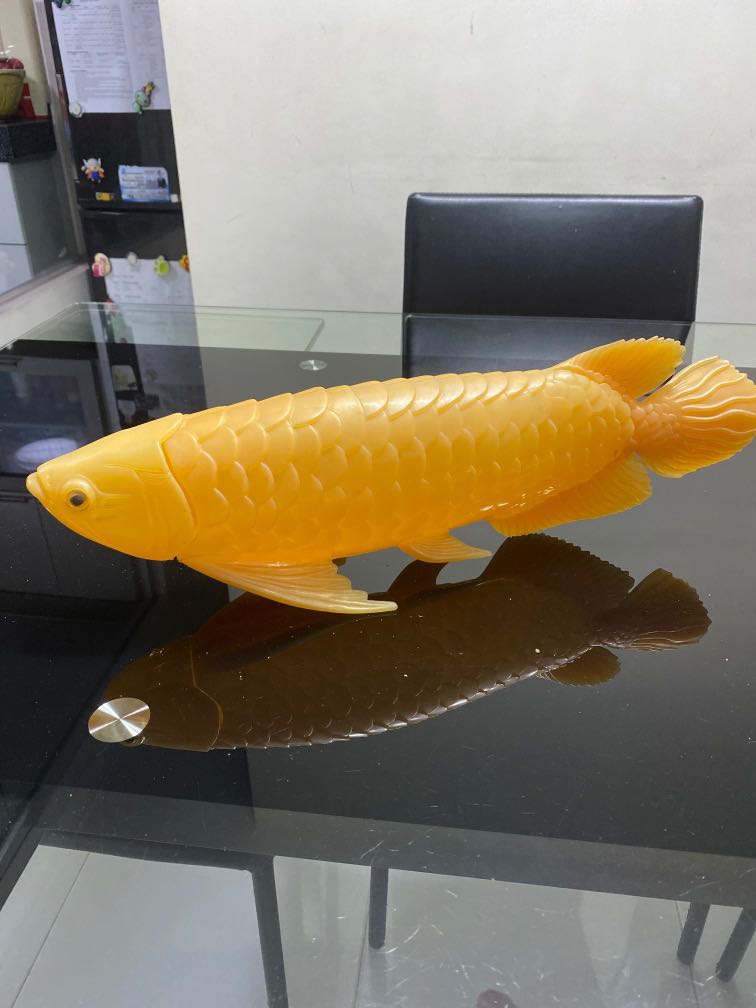Vintage Arowana Plastic Display, Pet Supplies, Homes & Other Pet ...