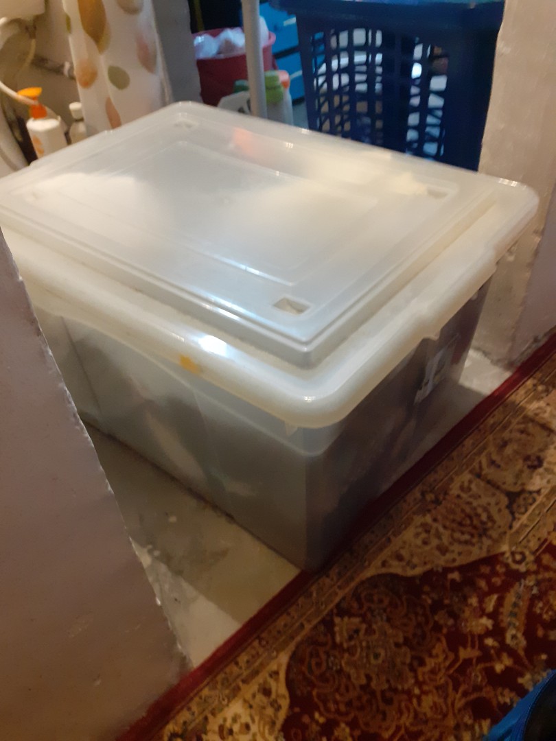 Durabox, Furniture & Home Living, Home Improvement & Organisation ...