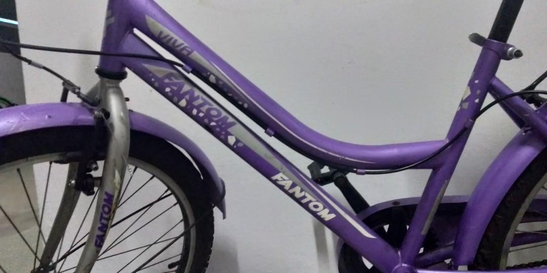 Fantom Bike, Sports Equipment, Bicycles & Parts, Bicycles on Carousell