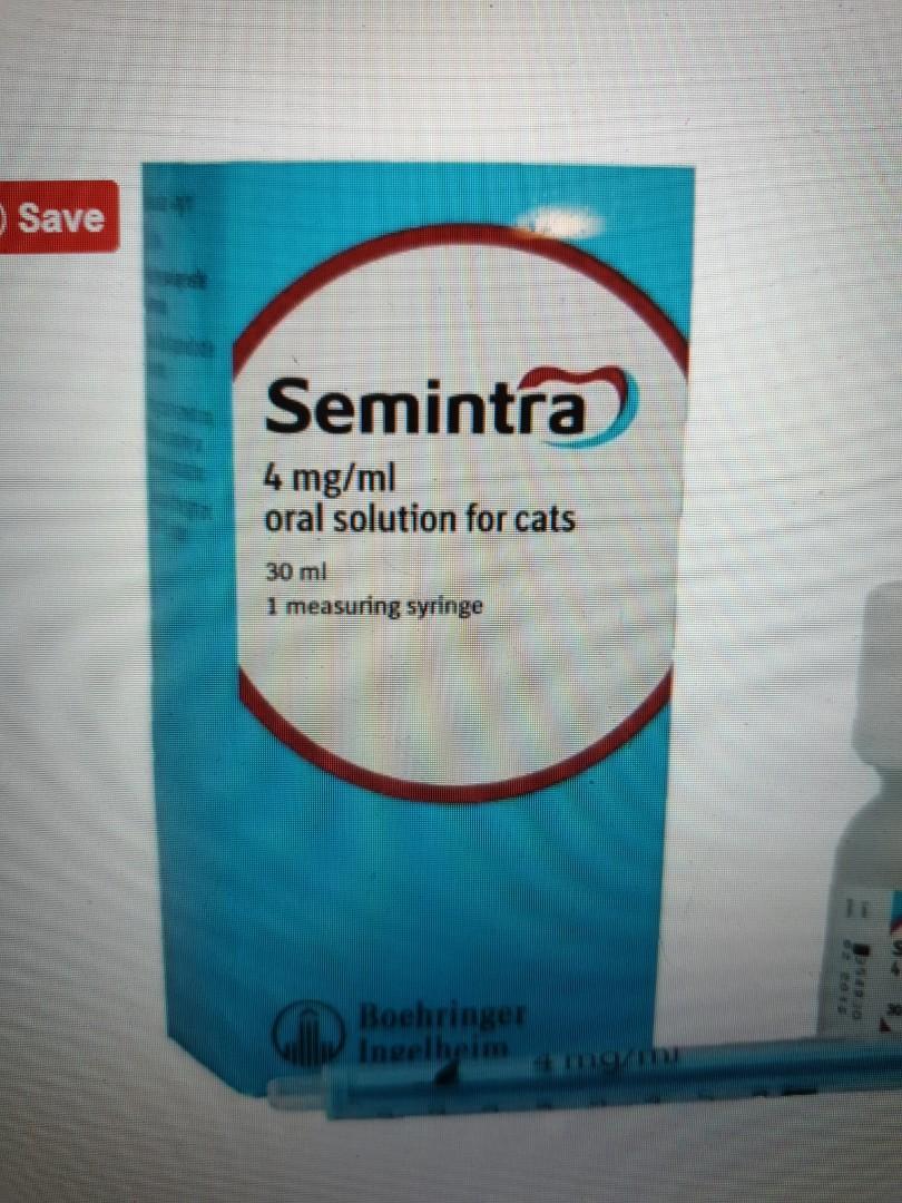 Semintra oral solution for Cats, Pet Supplies, Homes & Other Pet ...