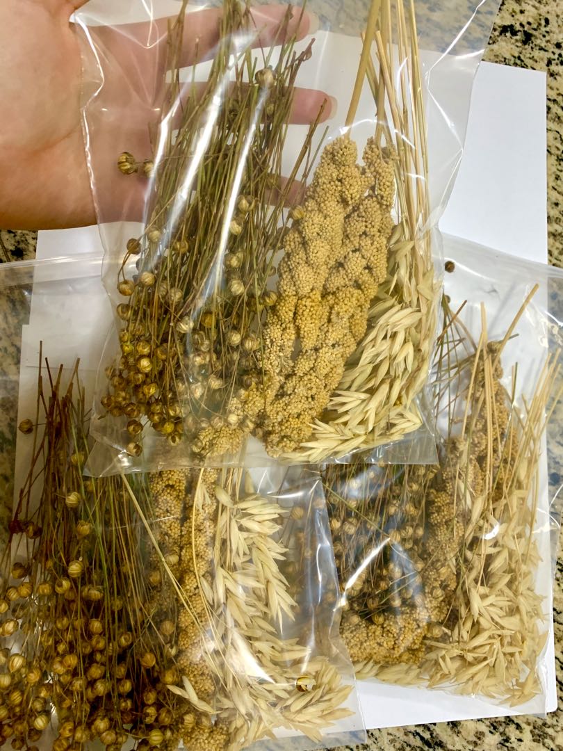 Instock SET A- Flax spray/oat spray/millets/ hamster food pack /bird ...