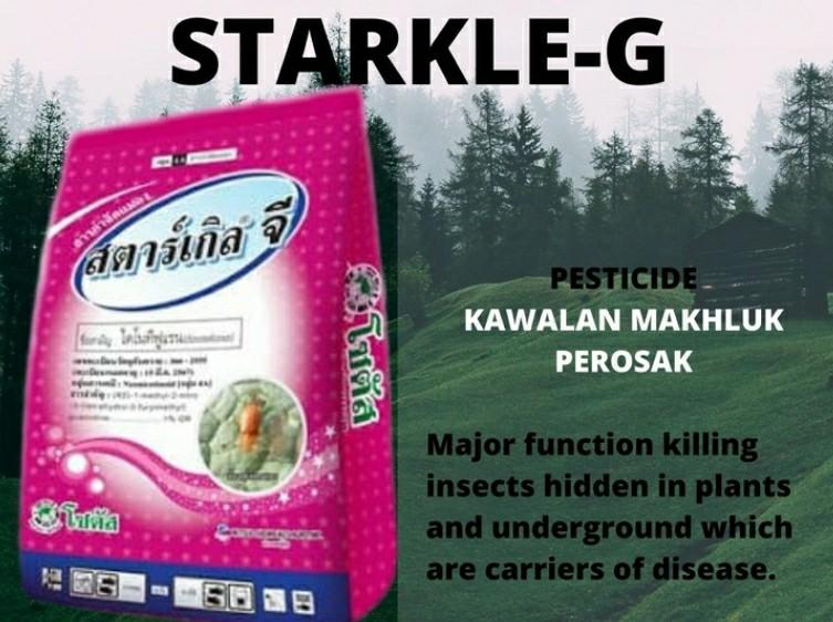 Starkle G - Systematic Plants Edible Crops Vegetables Foliage ...