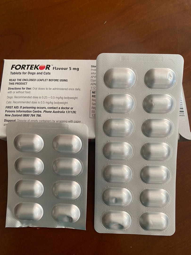 Fortekor 5mg tablets, Pet Supplies, Health & Grooming on Carousell