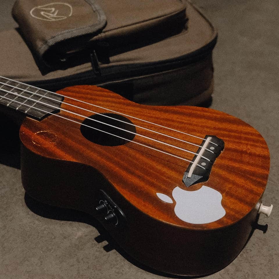RJ Coron Ukulele (Soprano) with Pickup and Passive Control, Hobbies ...