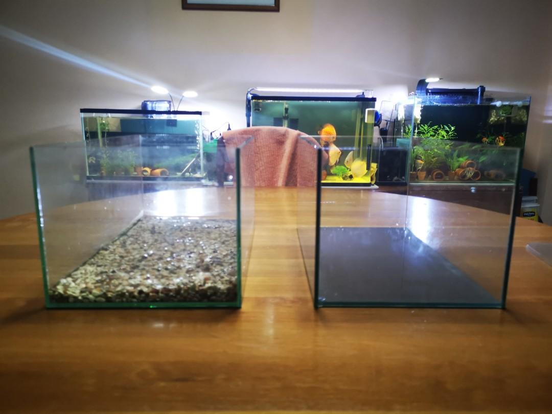 Low profile fish tank, Pet Supplies, Homes & Other Pet Accessories on ...