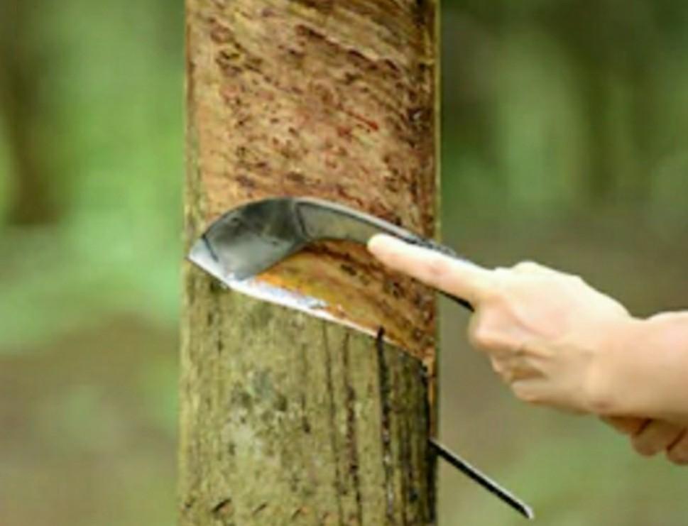 Antique Rubber Tapper Knife, Furniture & Home Living, Home Decor, Vases ...