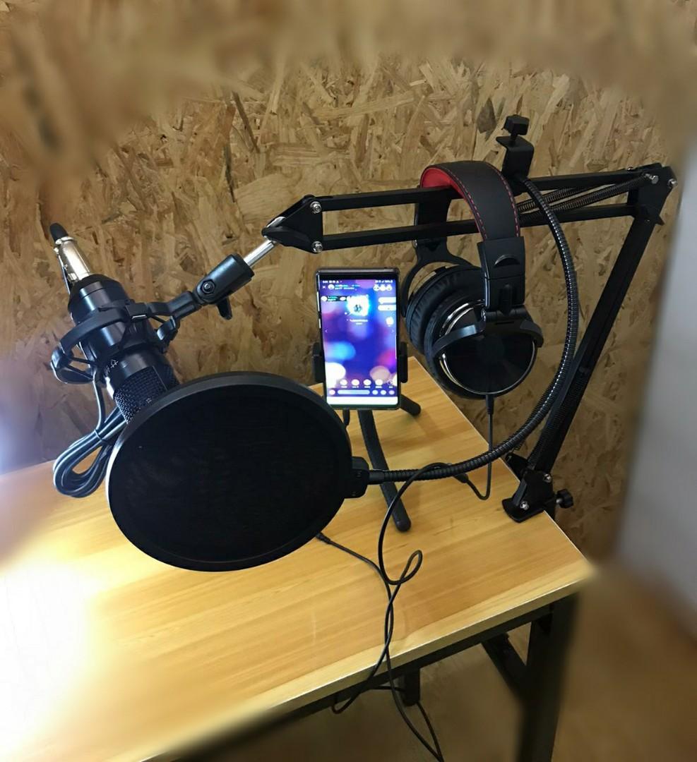 Professional Studio Recording Setup Condenser Microphone Set with LED ...
