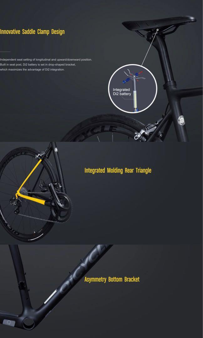 Qicycle R1 Professional Road Bike with Shimano Ultegra DI2 electronic ...