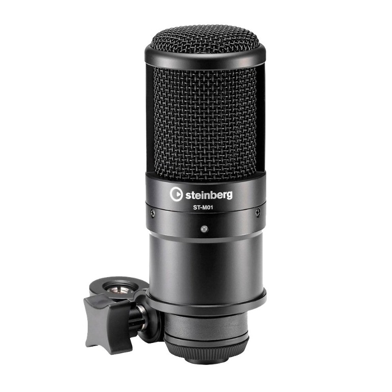 Steinberg ST-M01 studio condenser microphone, Audio, Microphones on ...