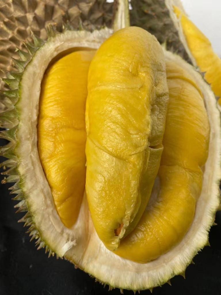 AAA Blackgold Mao Shan Wang Durian / Musang King, Food & Drinks, Local ...