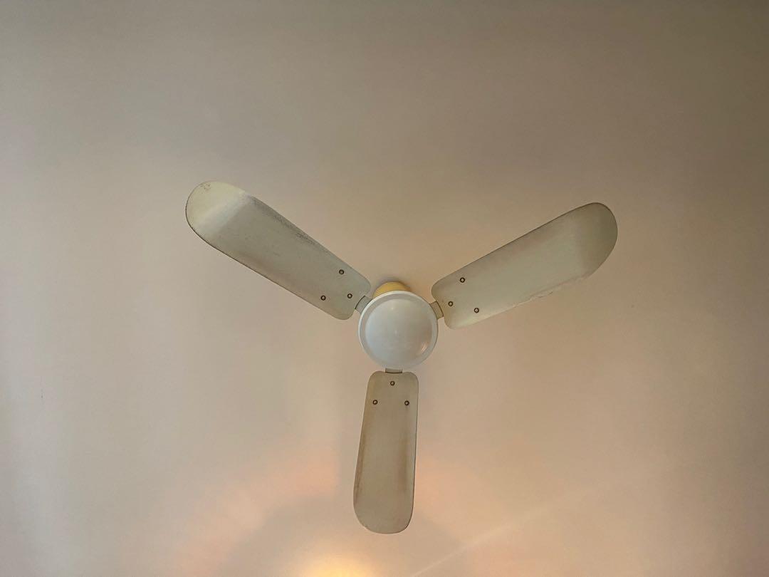 Smc ceiling fan 124cm, 傢俬＆家居, 其他 - Carousell